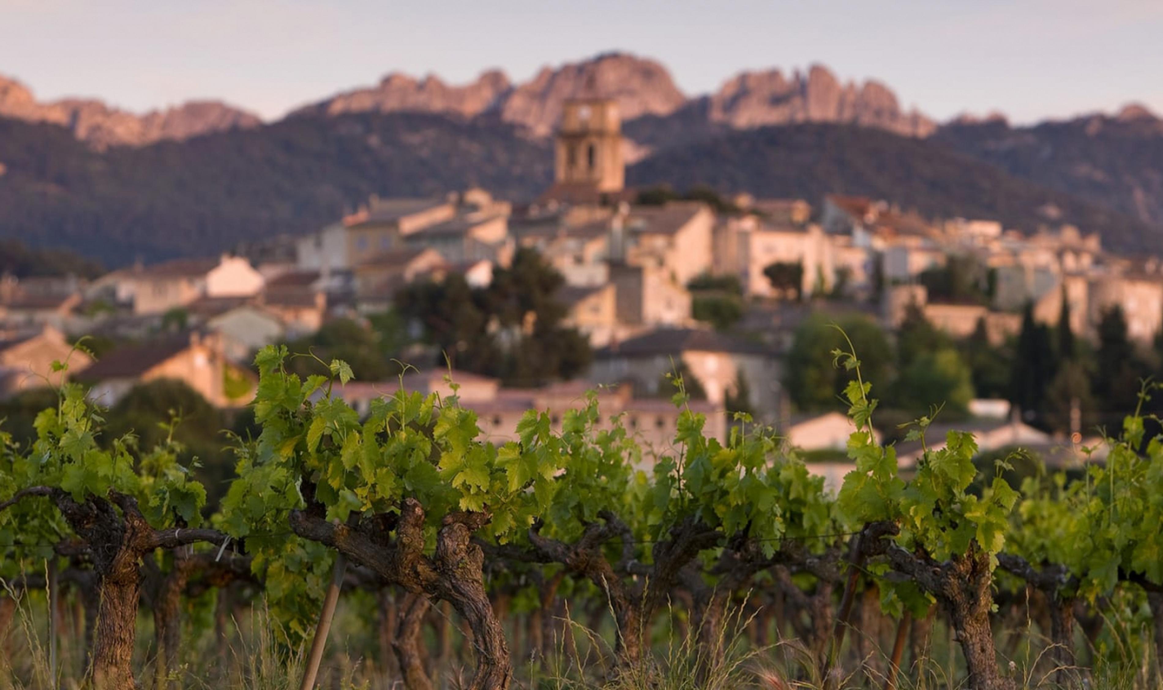 Plan de Dieu Côtes du Rhône villages aoc wines | Côtes du Rhône site ...